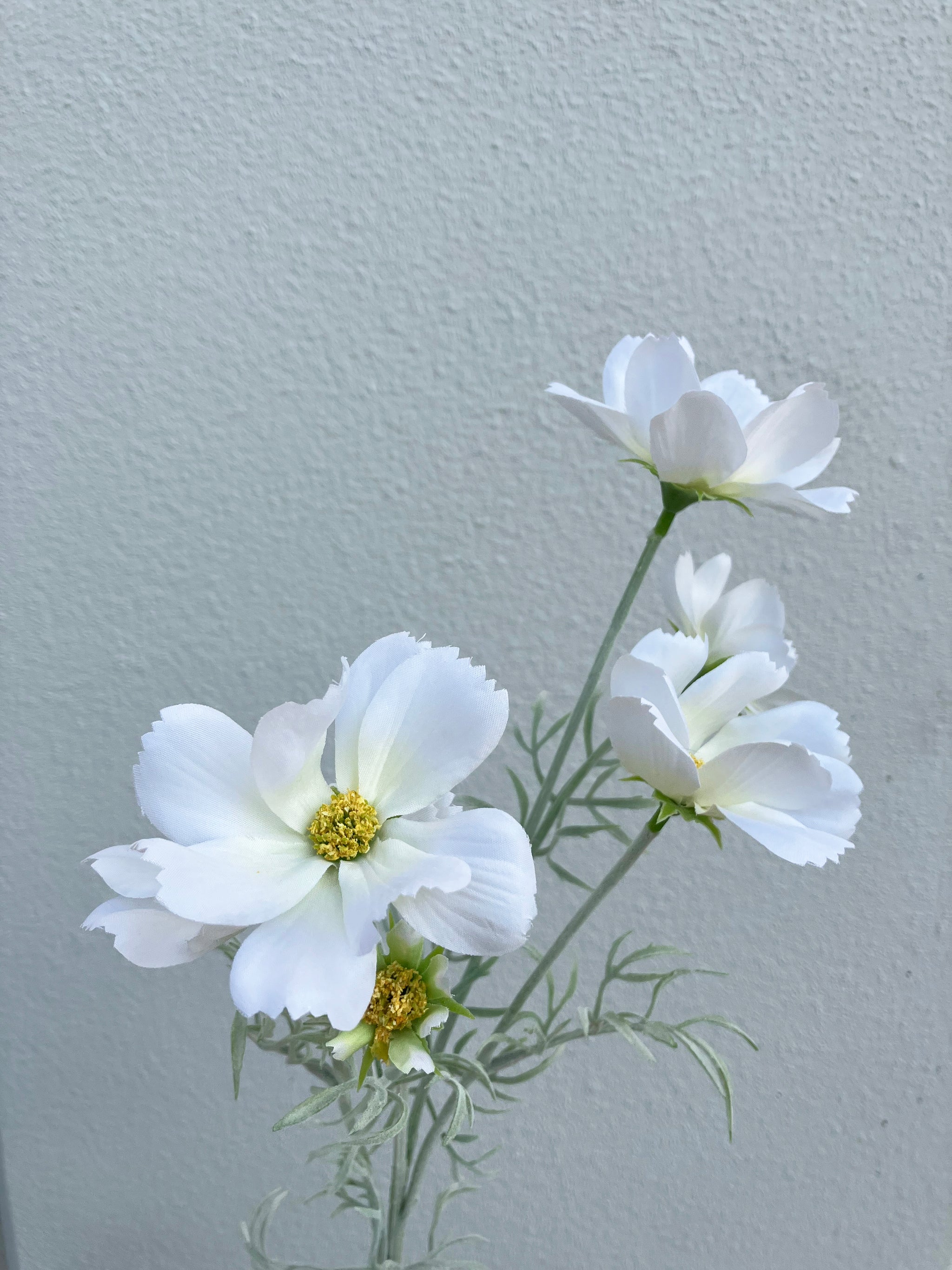 Artificial Cosmos Spray White – Wild Blooms