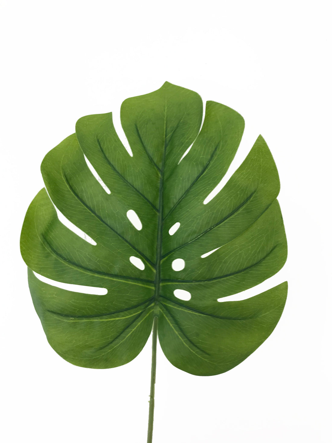 Artificial Monstera Leaf Large – Wild Blooms